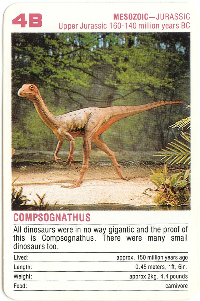 Compsognathus, by Orin Zebest, https://www.flickr.com/photos ...