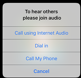 Come Zoom With Us – Indivisible East Bay